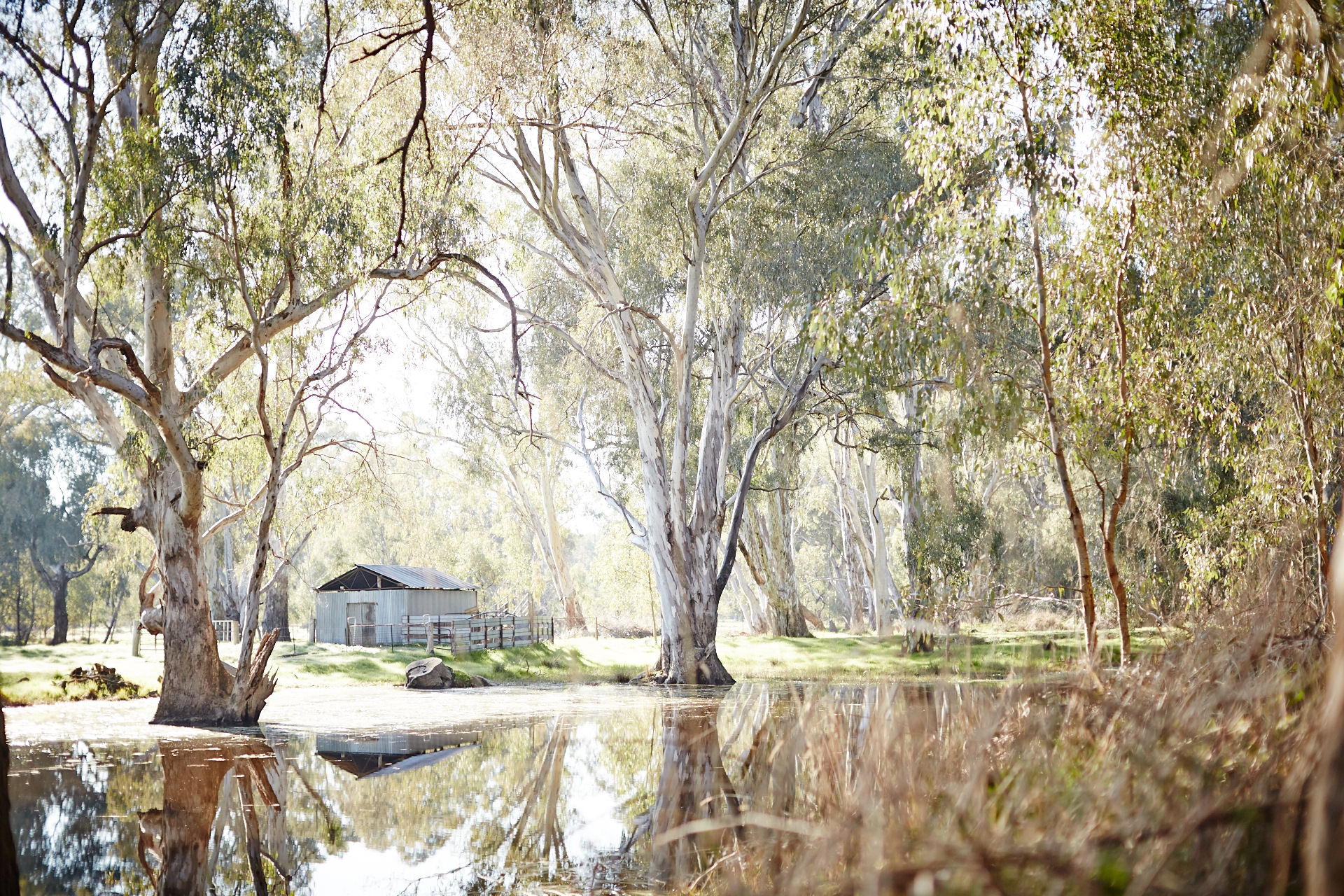 Oxley - Victorias High Country