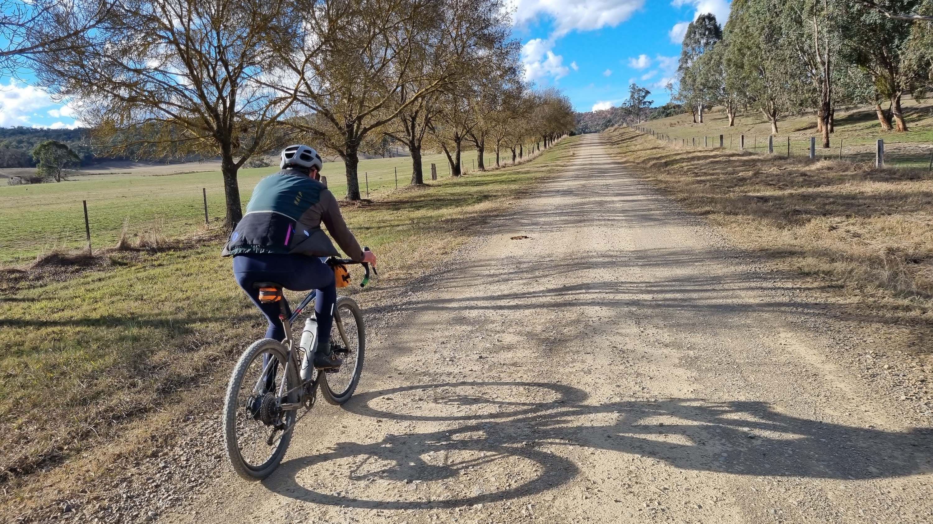 Strada Alberata - Victoria's High Country