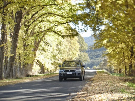 Whitfield and King Valley - Towns Culture Lifestyle