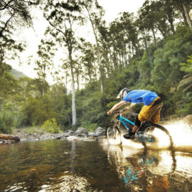 Pineapple Flat Camping Area - Victoria's High Country