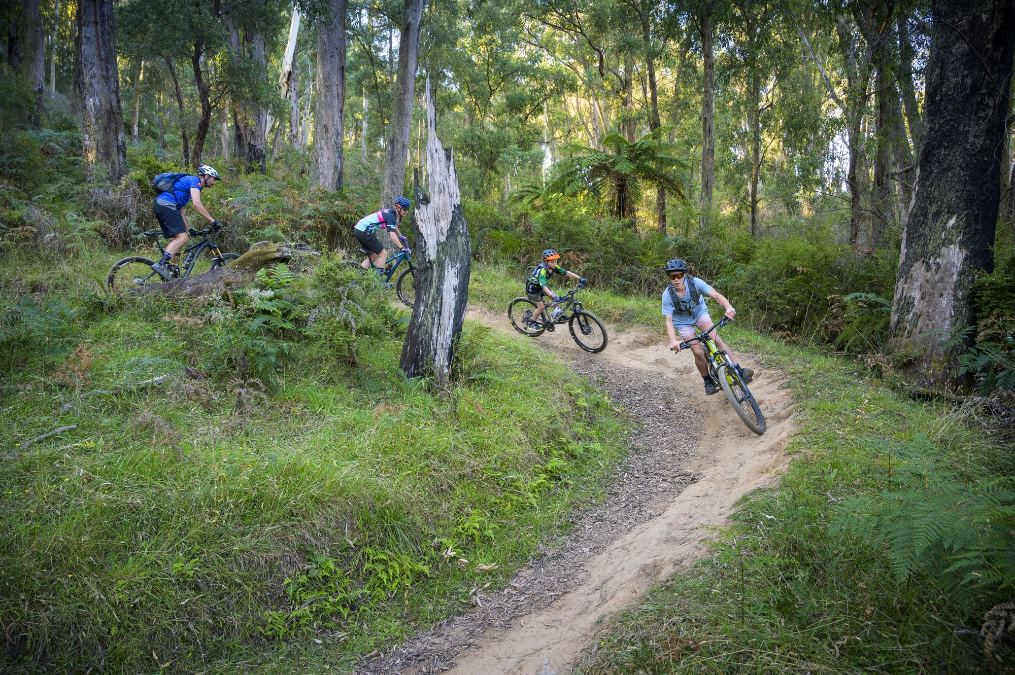 Big Kahuna - Victoria's High Country