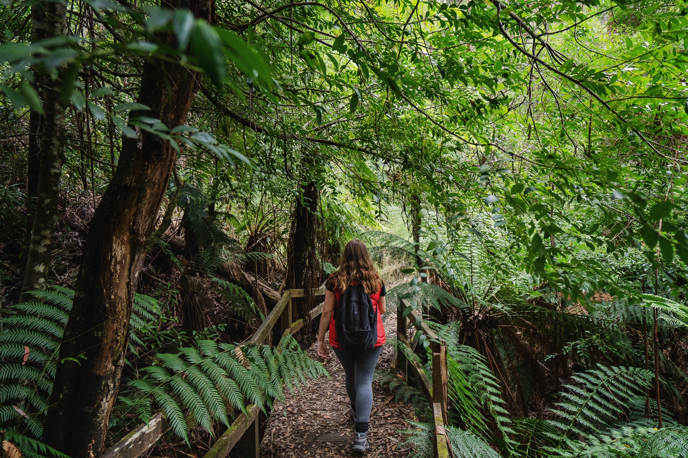 Tanglefoot Loop - Victoria's High Country