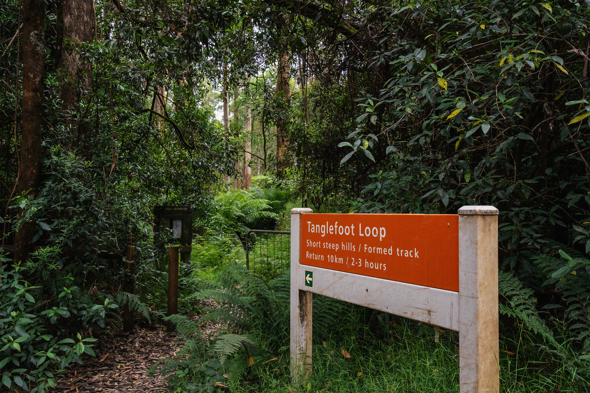 Tanglefoot Loop - Victoria's High Country