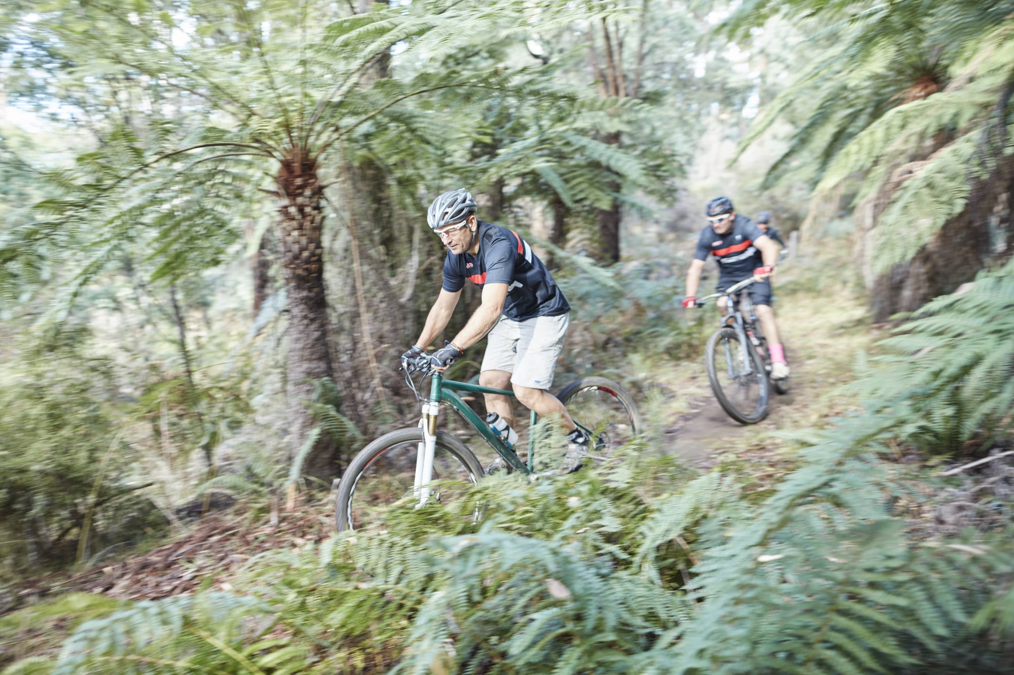 Highlights Tour - Victoria's High Country