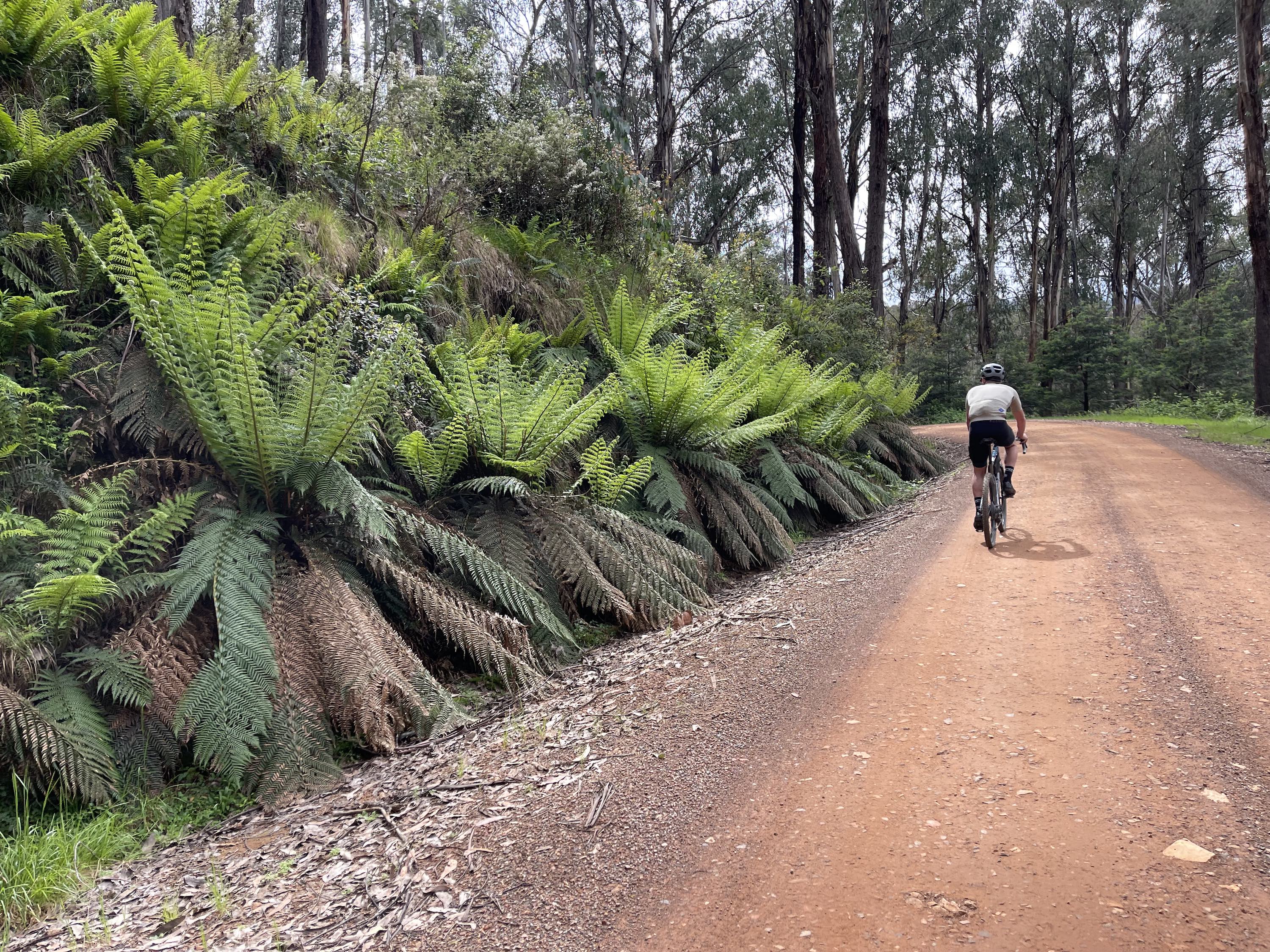 Mt Stirling Classic Circuit Loop - Victoria's High Country