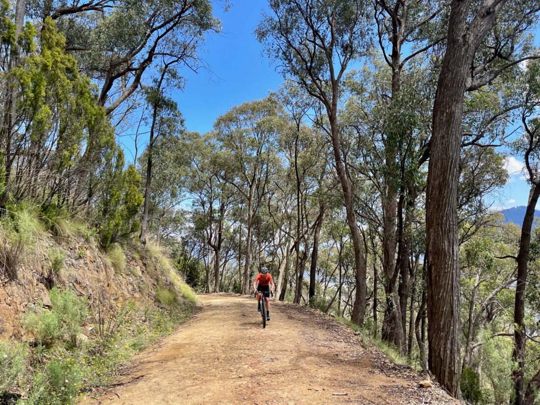 Ride High Country - Ride