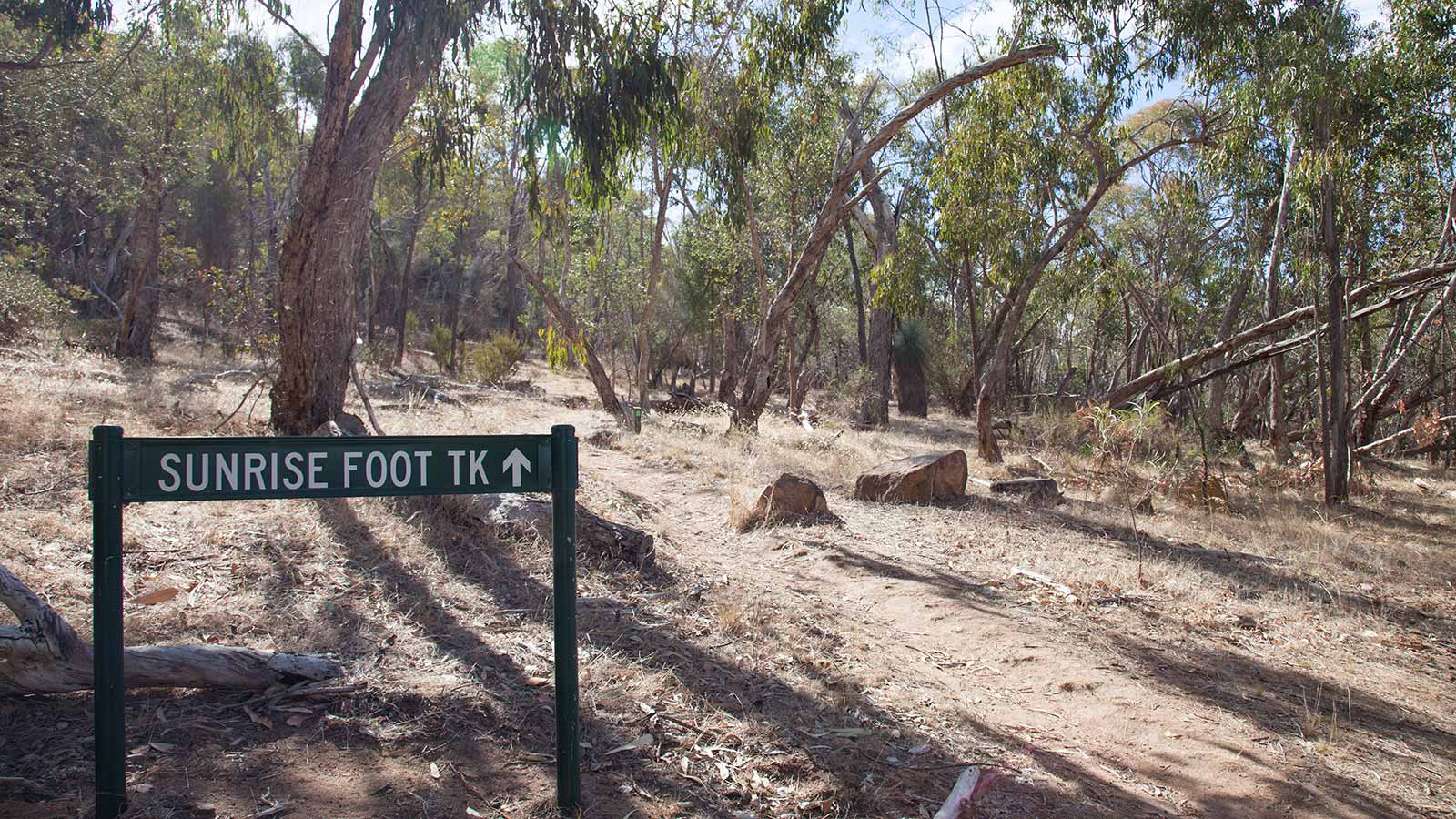 Sunrise Track - Victoria's High Country
