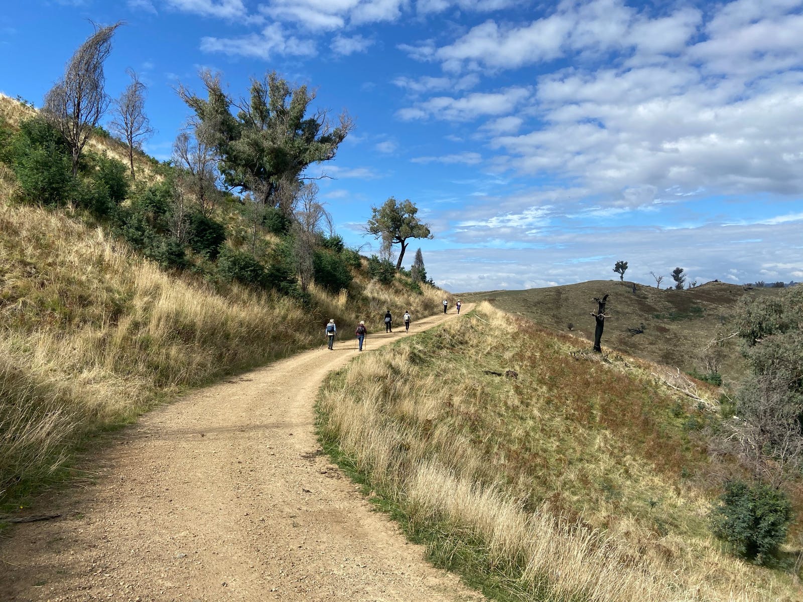 King Valley and Victorian High Country gourmet walking tour - Victoria ...