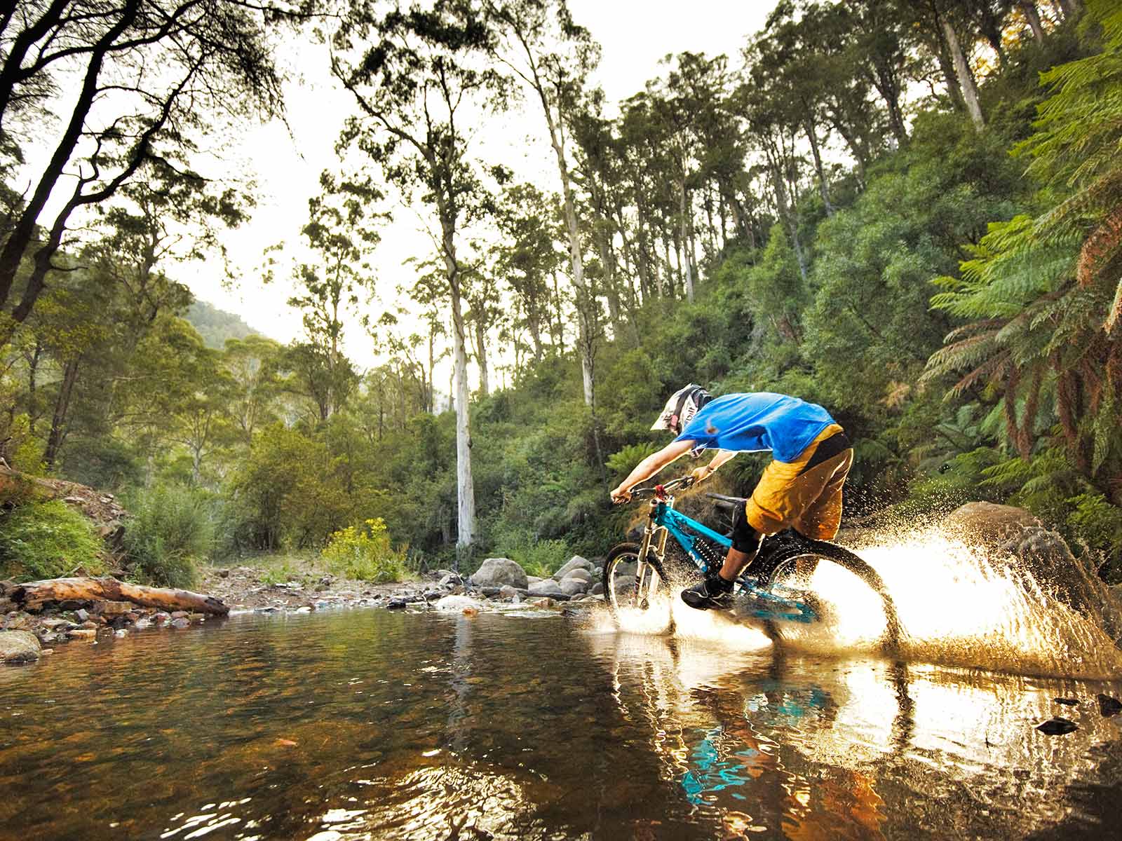 Delatite River Trail - Victoria's High Country