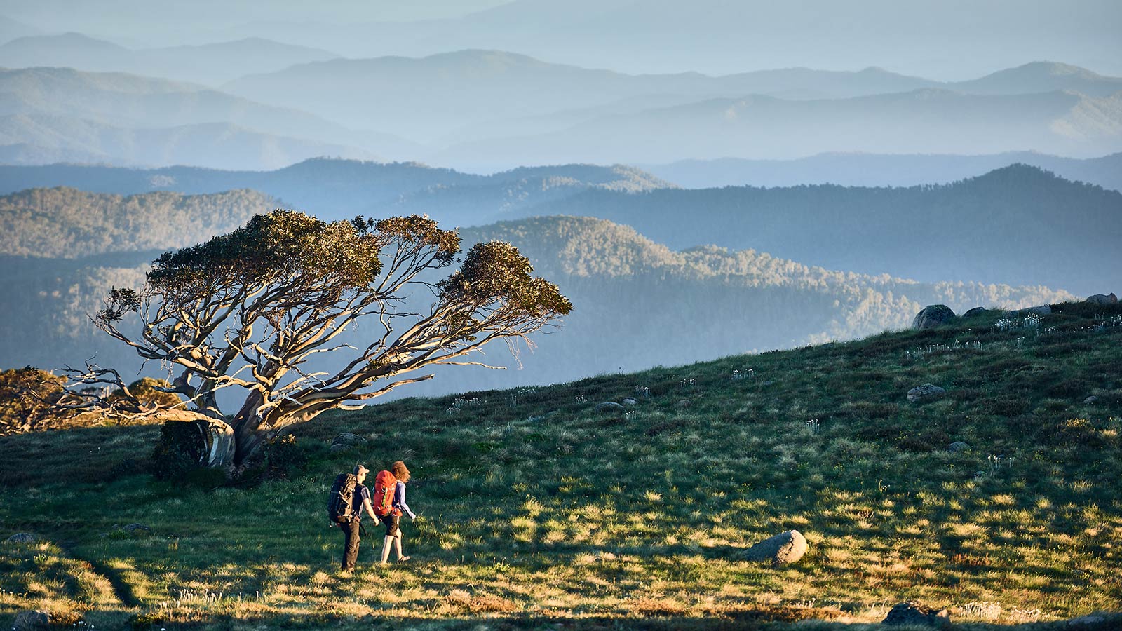 Mt Stirling Summit Loop Walk - Victoria's High Country