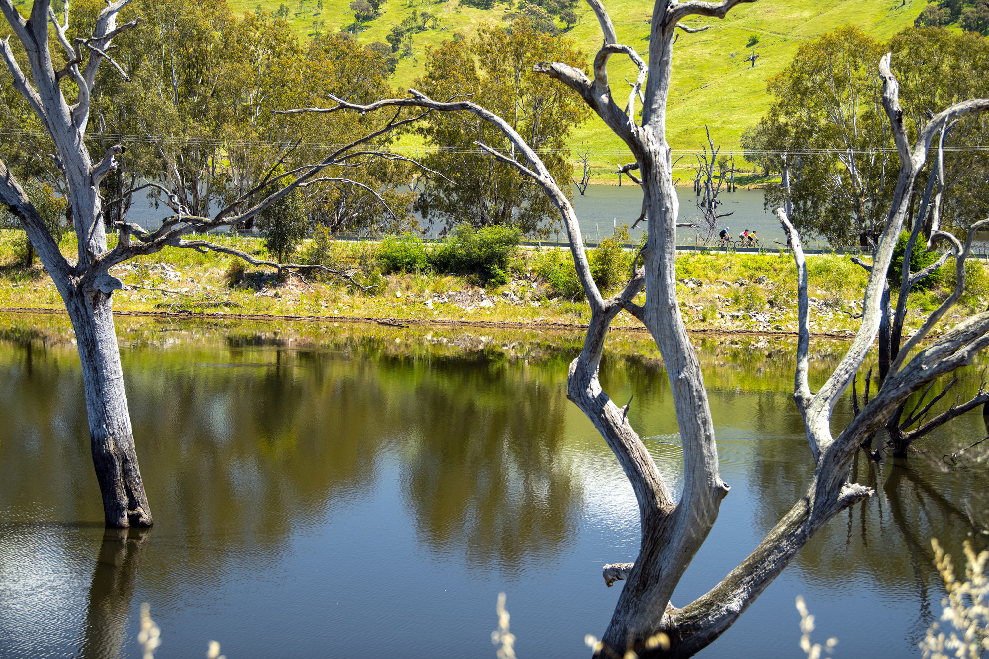 HCRT - Tallangatta to Old Tallangatta - Victoria's High Country