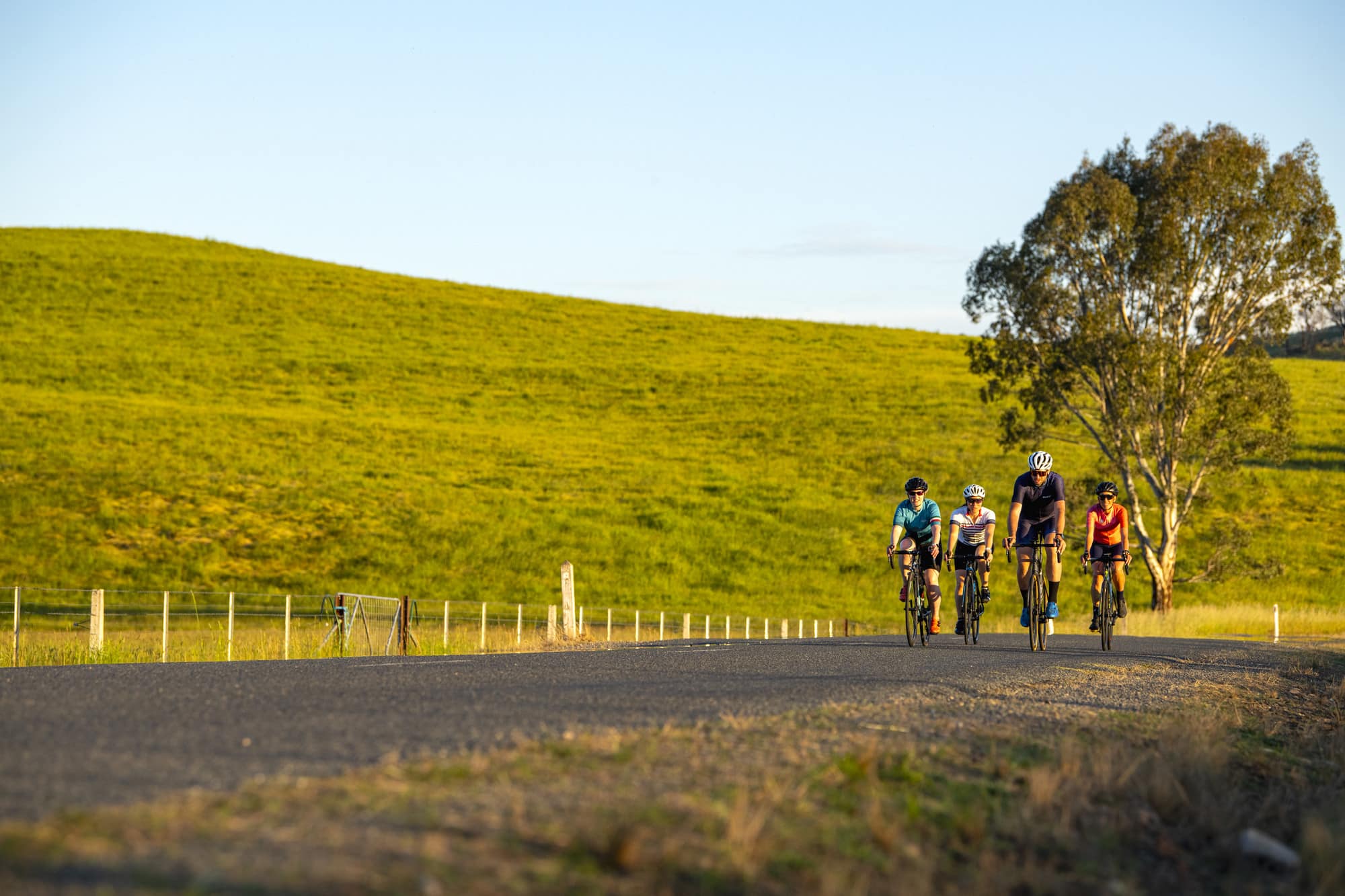 Towong Loop - Victoria's High Country