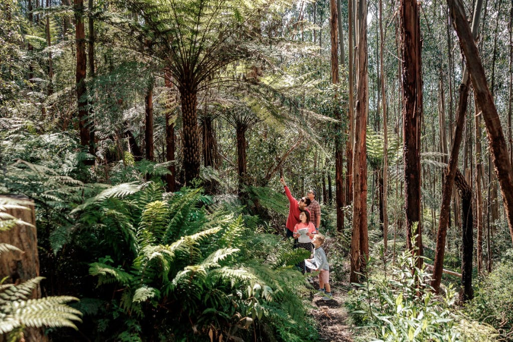 Little Walks - Great Outdoors