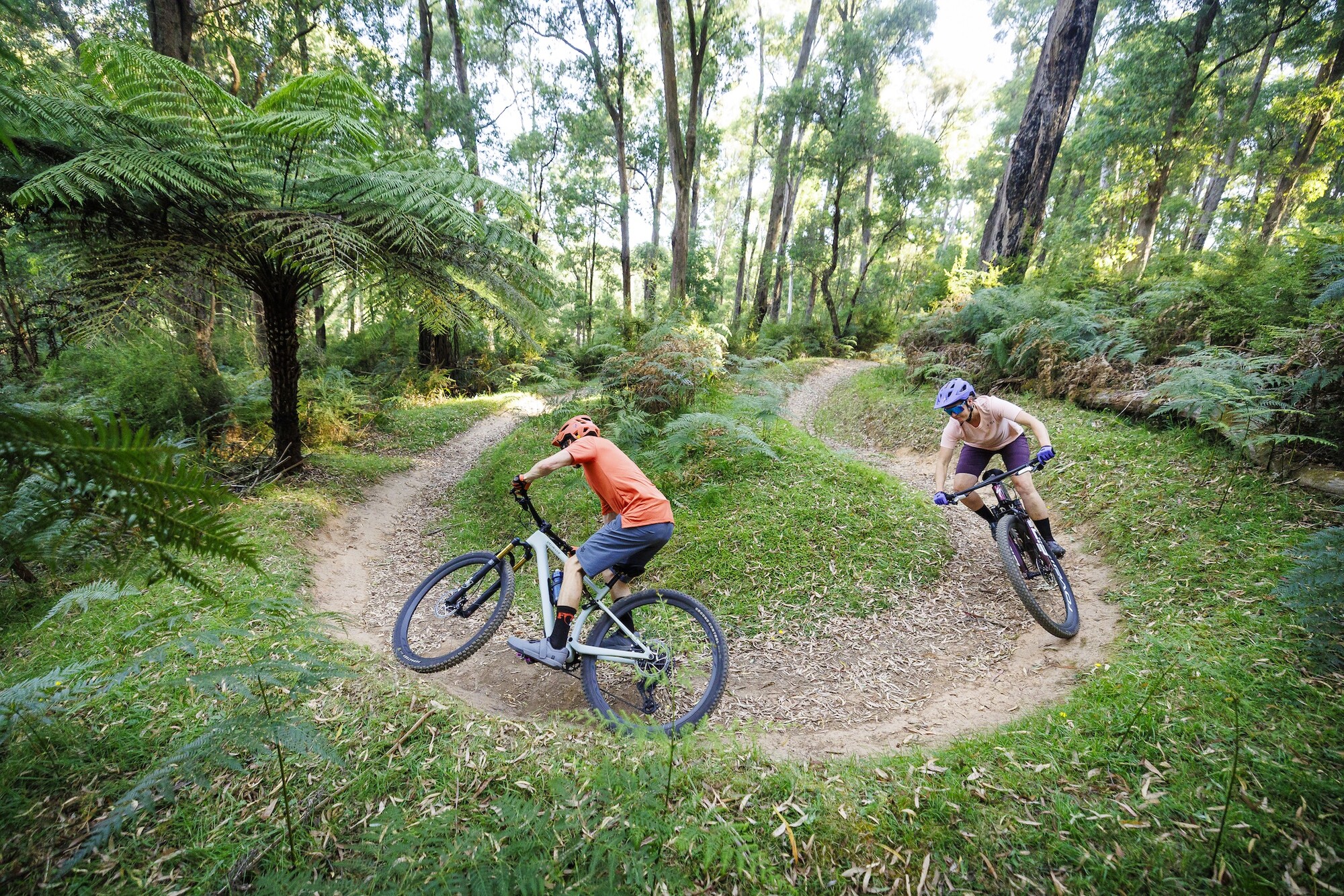 Buxton Mountain Bike Park - Victoria's High Country