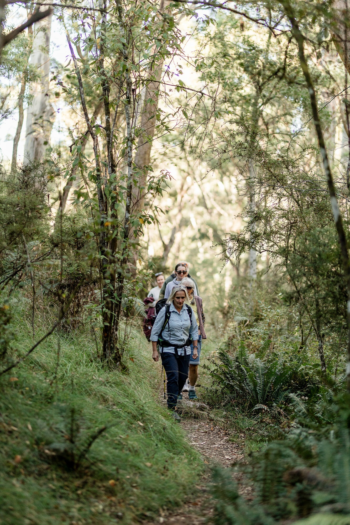 Guided Walks - Great Outdoors