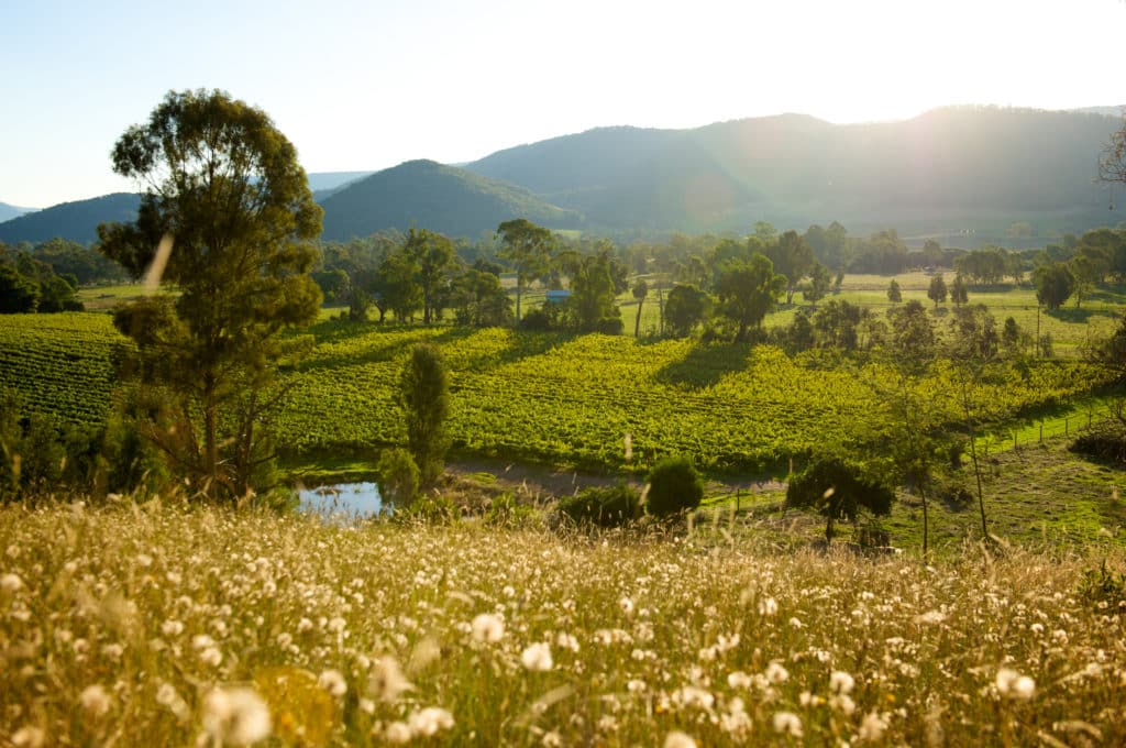King Valley Wine Region - Food & Beverage