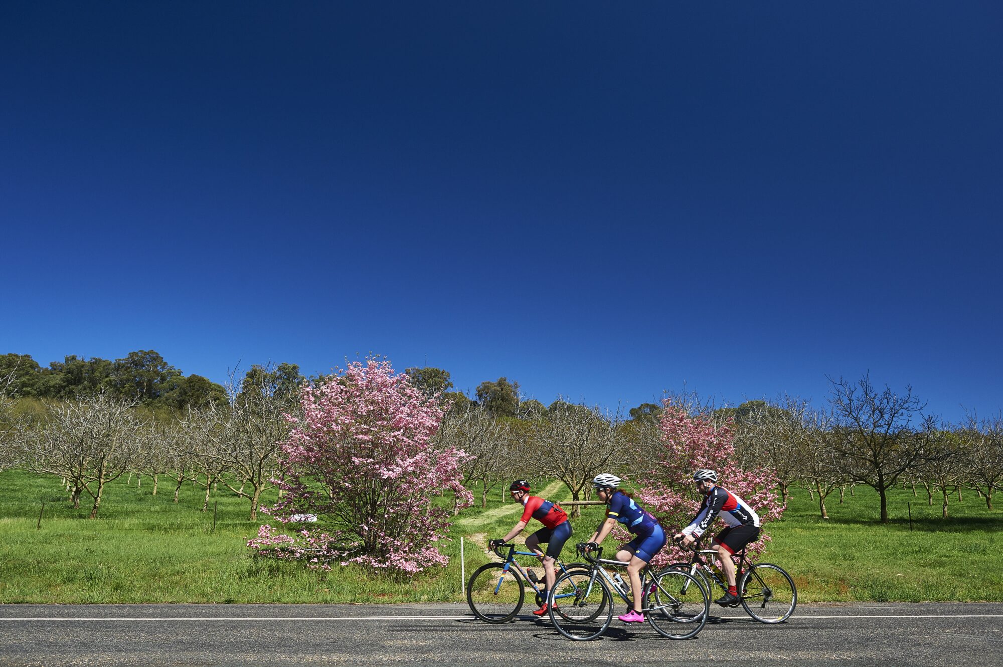 The Chiltern Valley Loop - Victoria's High Country