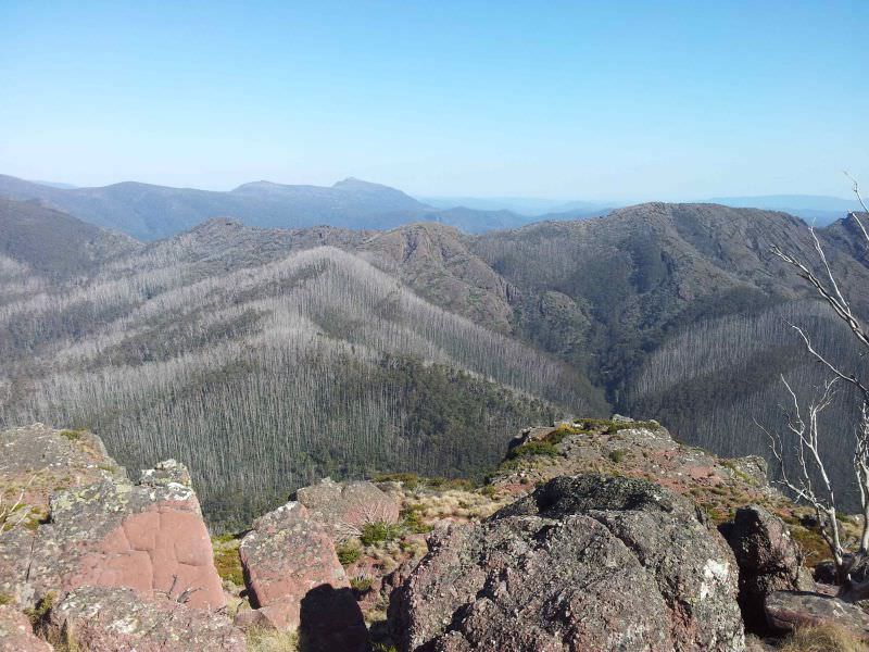 Mount Cobbler - Victoria's High Country