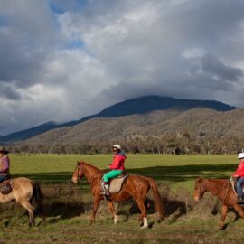 Tawonga Tourist Park - Victoria's High Country