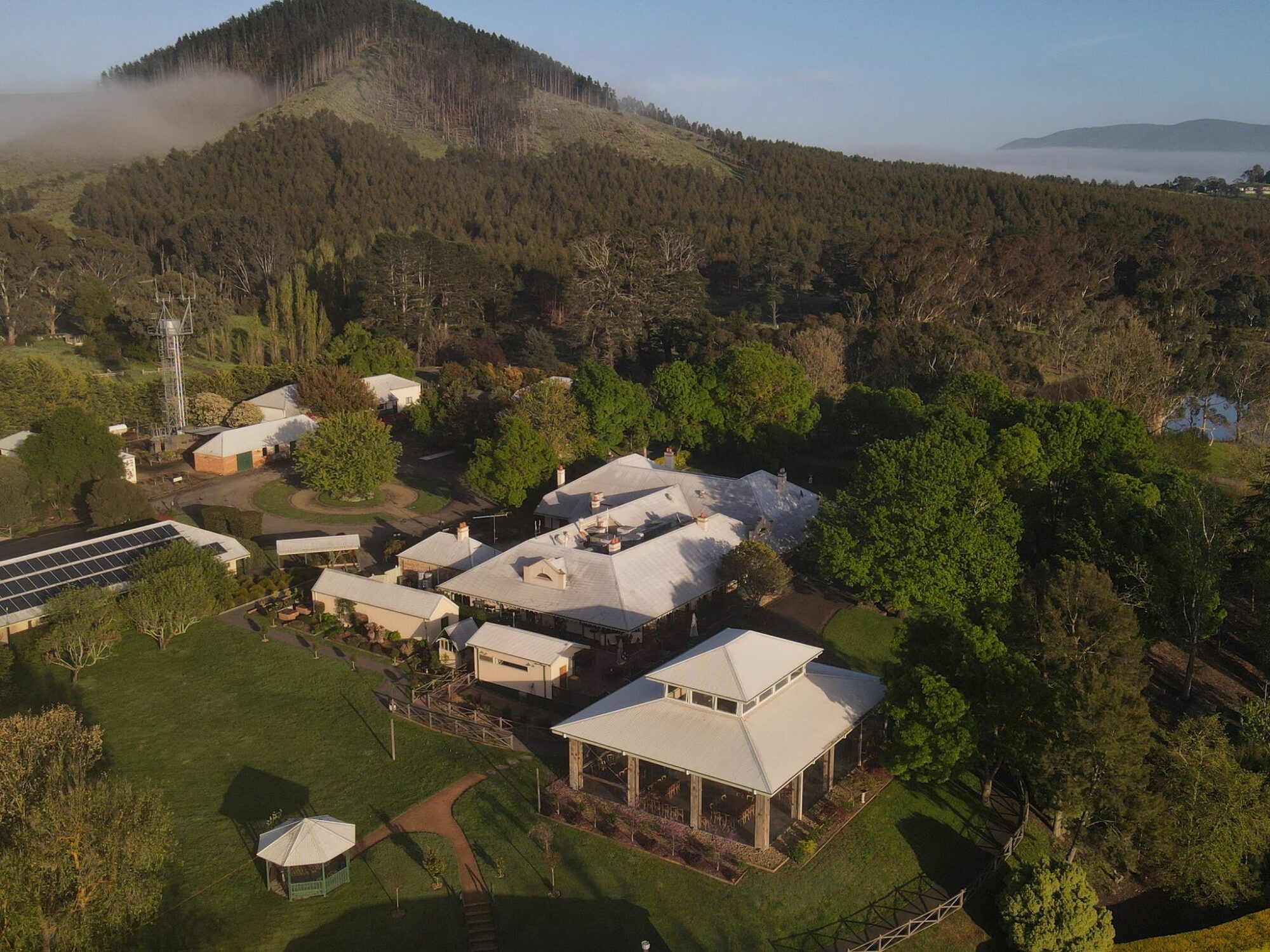 Yea - Towns Culture Lifestyle