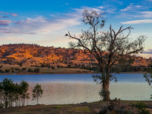 Mitta Mitta - Towns Culture Lifestyle