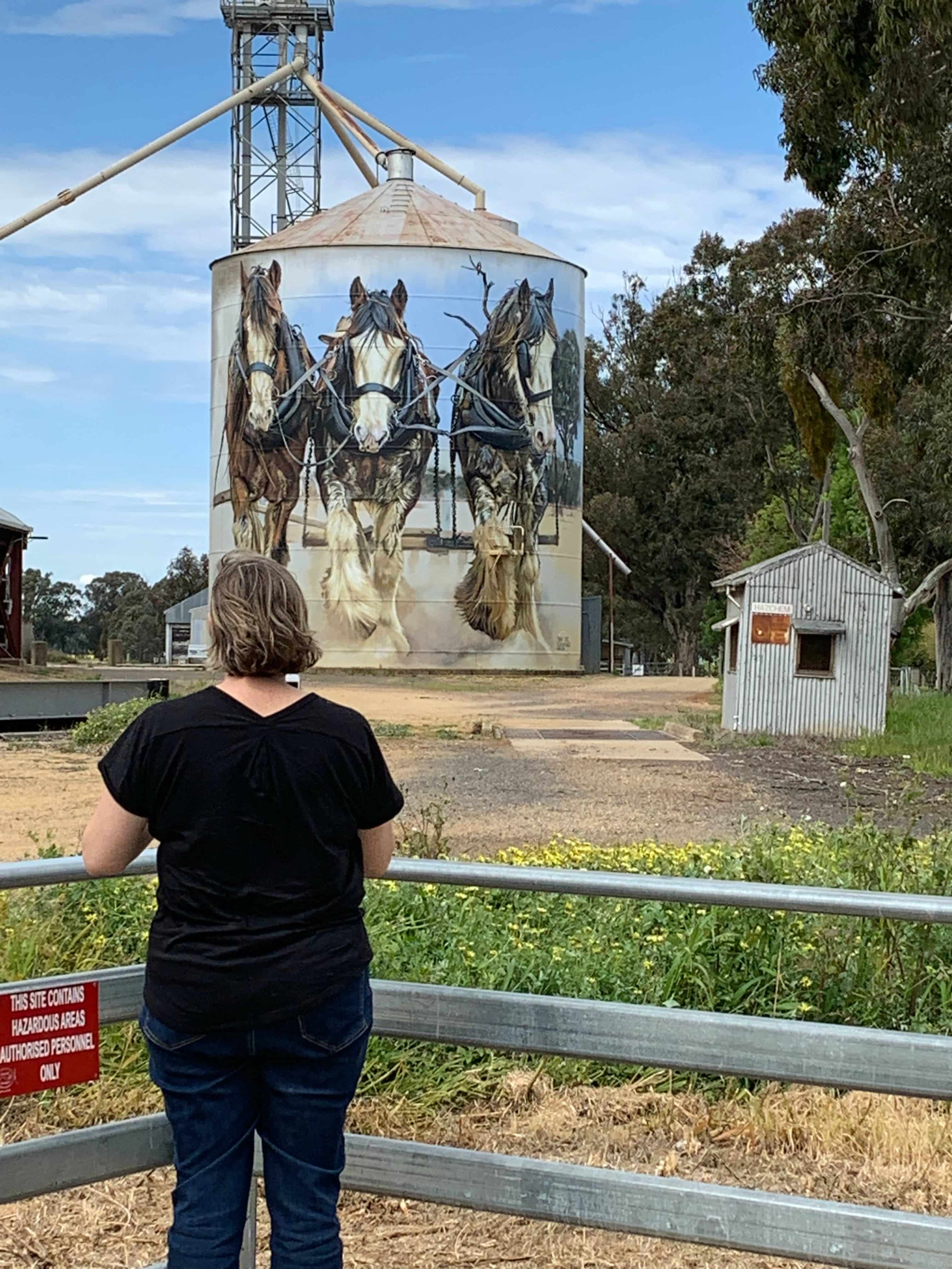 Goorambat Silos - Victoria's High Country