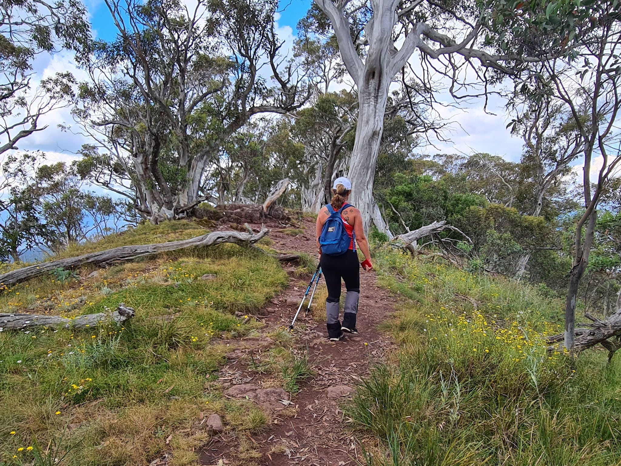 Timbertop Summit Loop - Victoria's High Country