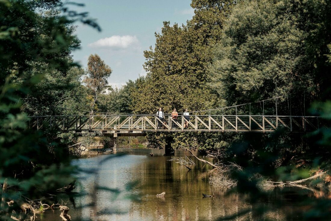 Yea - Towns Culture Lifestyle