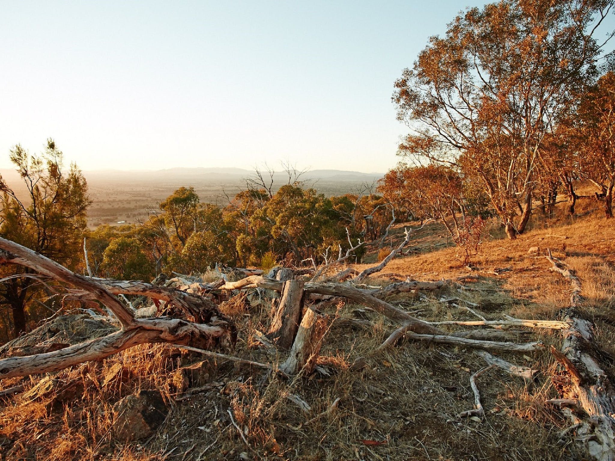 Chick Hill Walk - Victoria's High Country