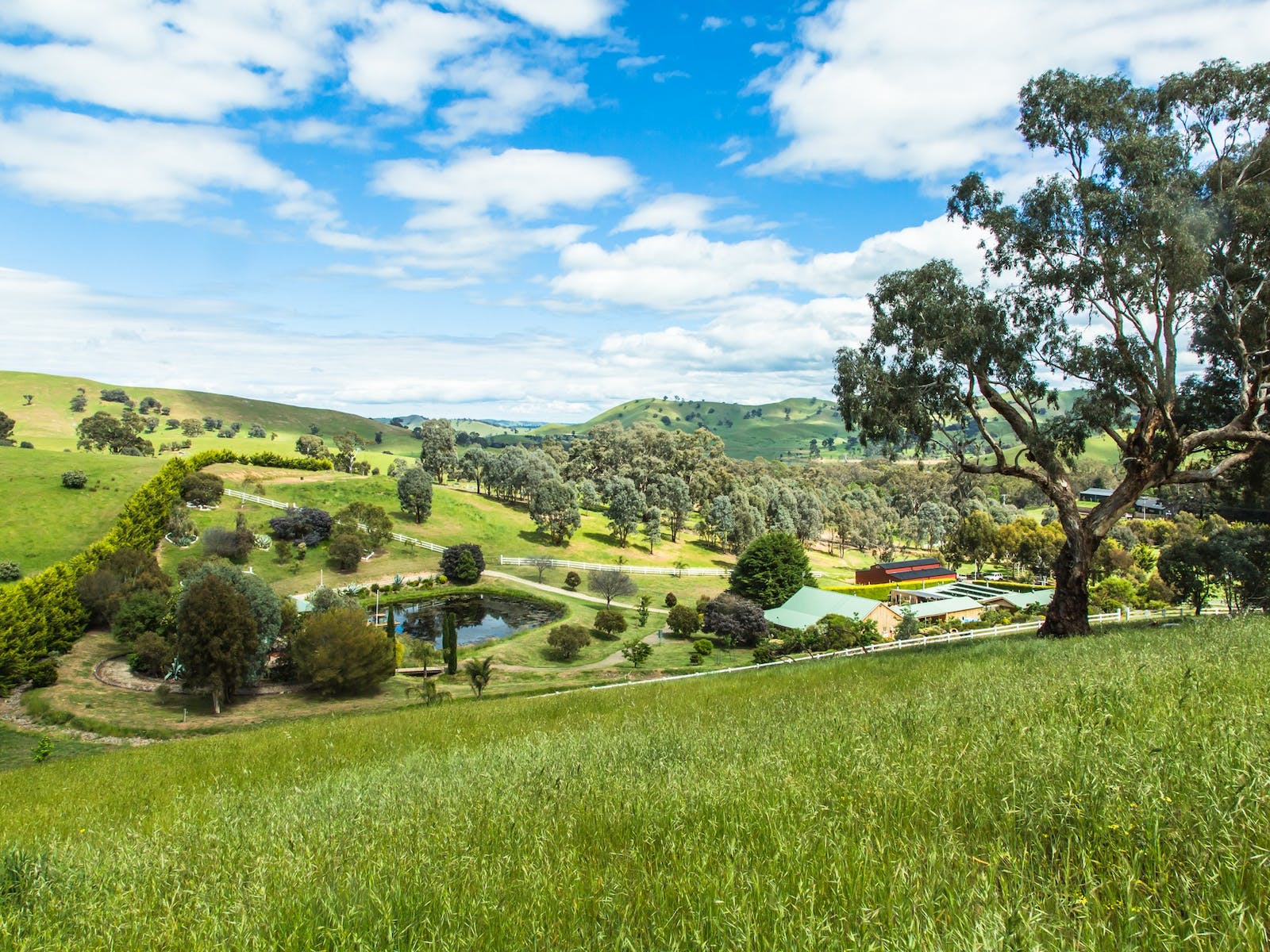 Daisy Hill Lodge - Victoria's High Country