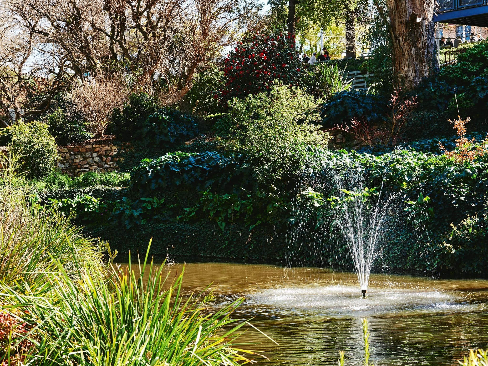 Merriwa Park - Victoria's High Country