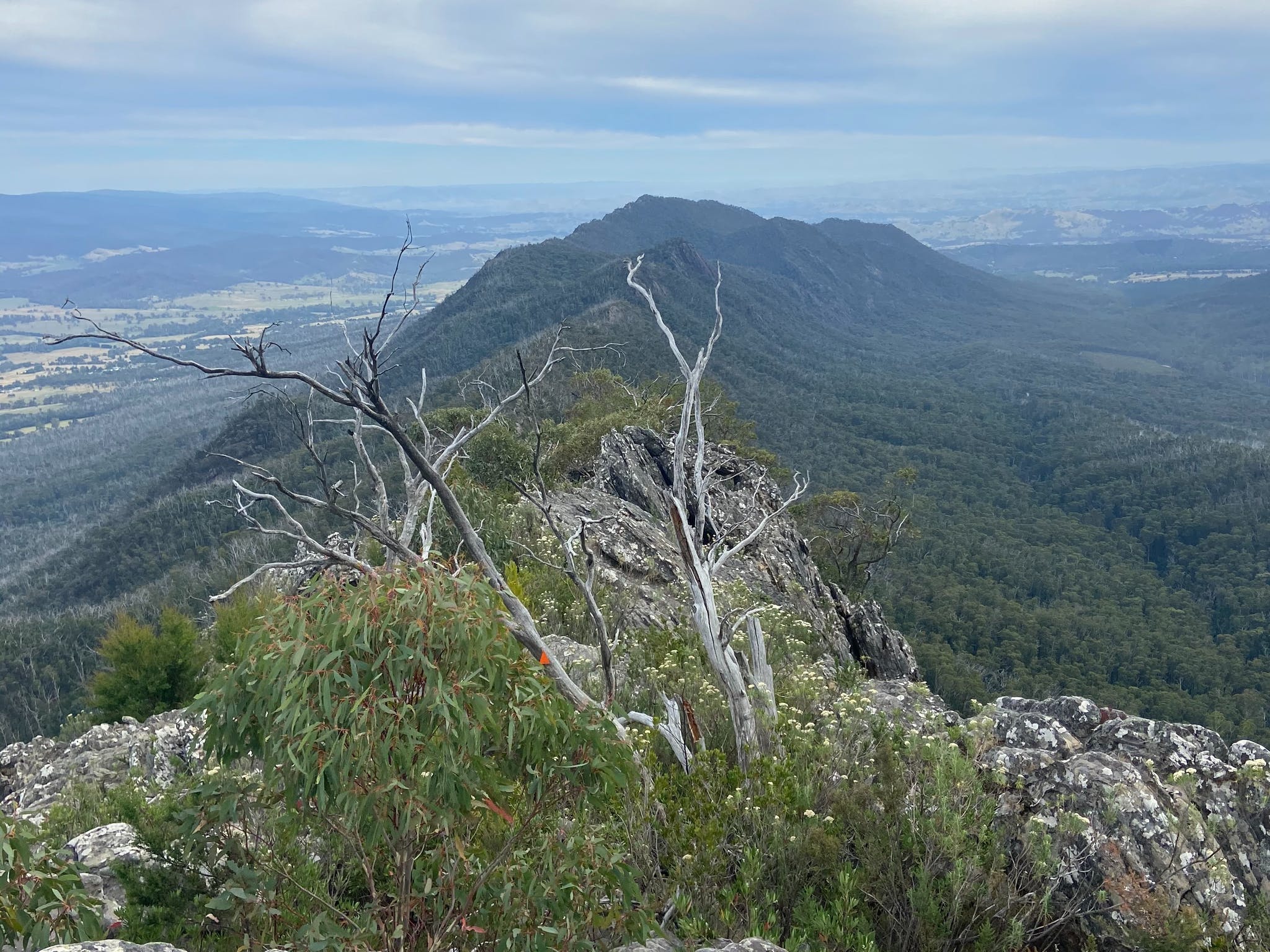 Wells Cave Track Loop - Victoria's High Country