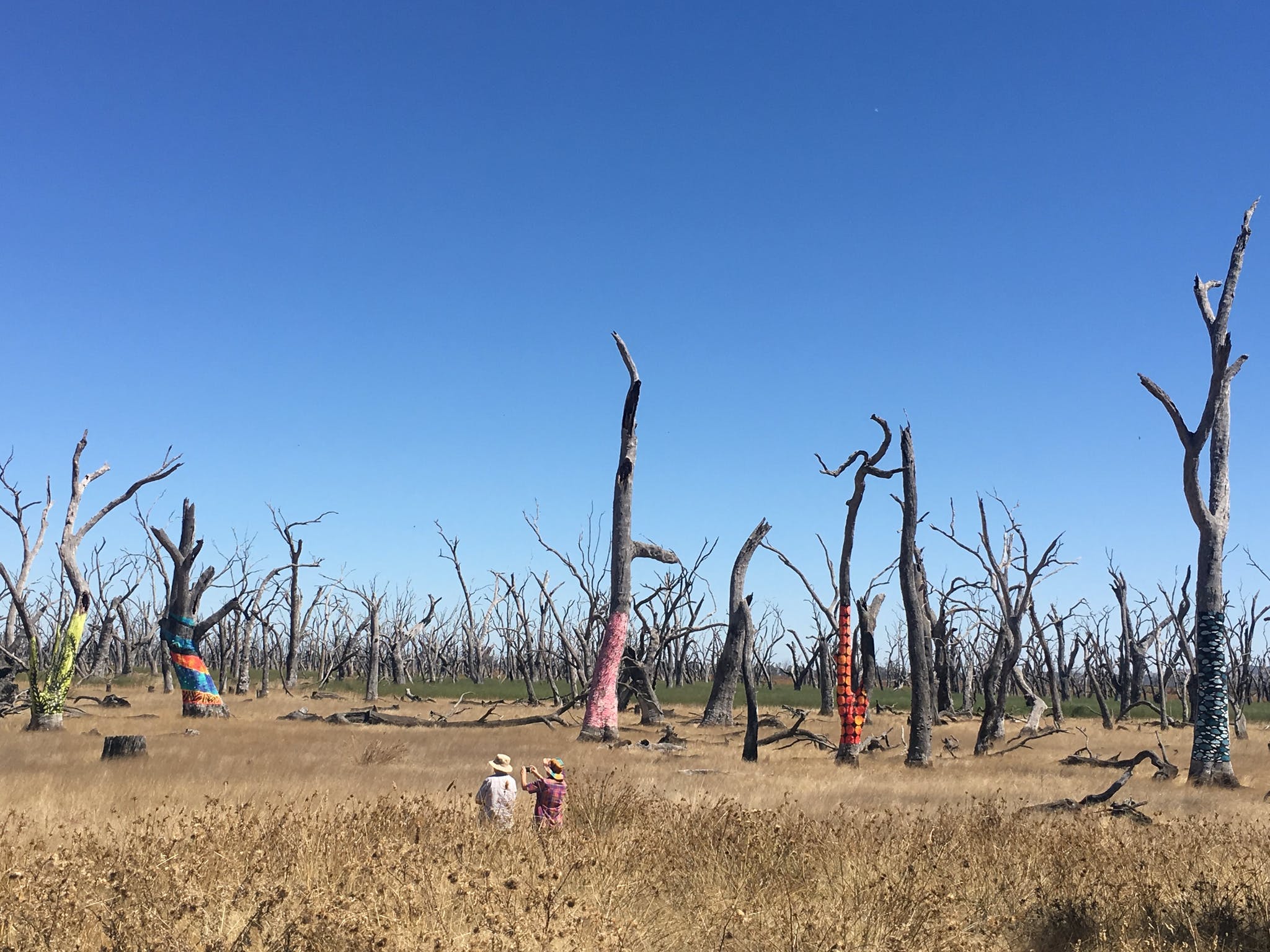 The Lunette Walk - Winton Wetlands - Victoria's High Country