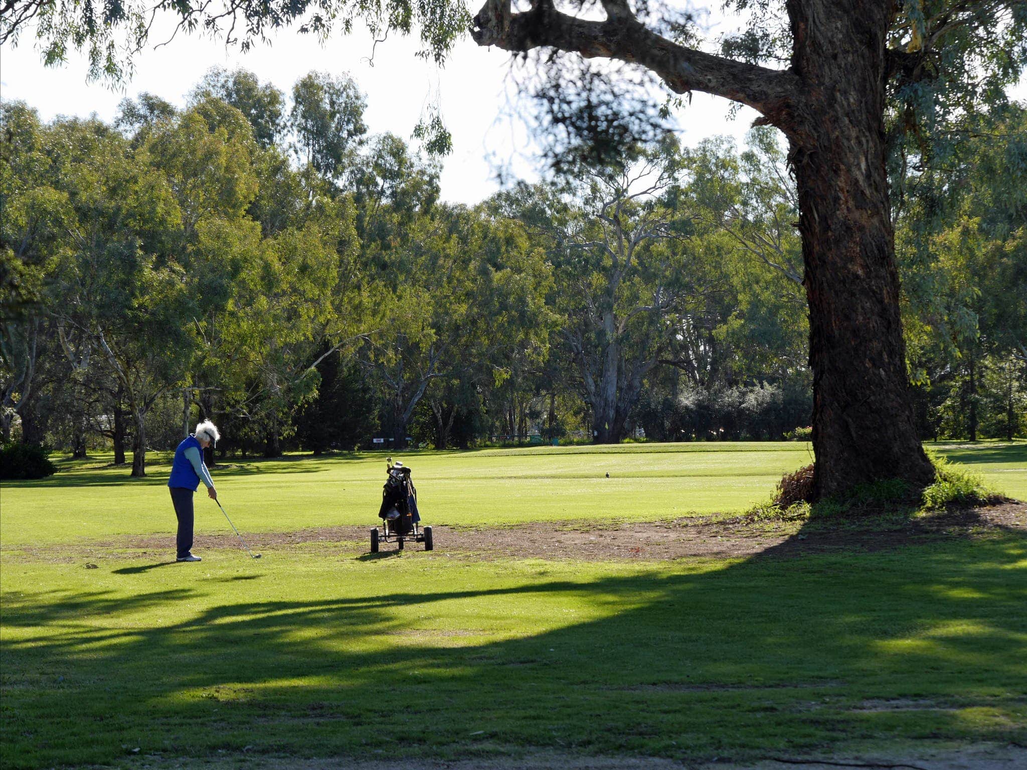 Tarrawingee Golf Club - Victoria's High Country