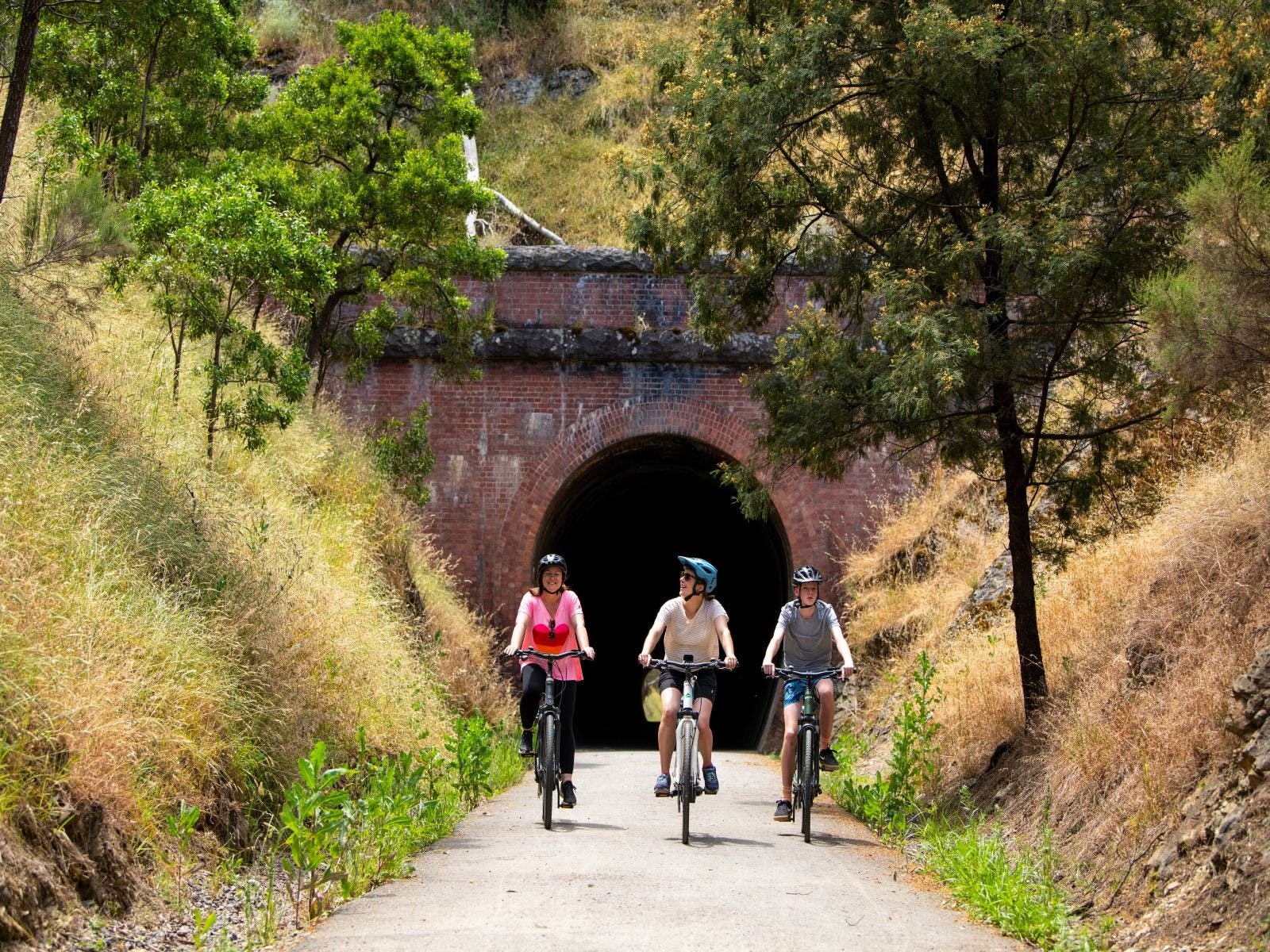 Best of the Great Victorian Rail Trail - Victoria's High Country