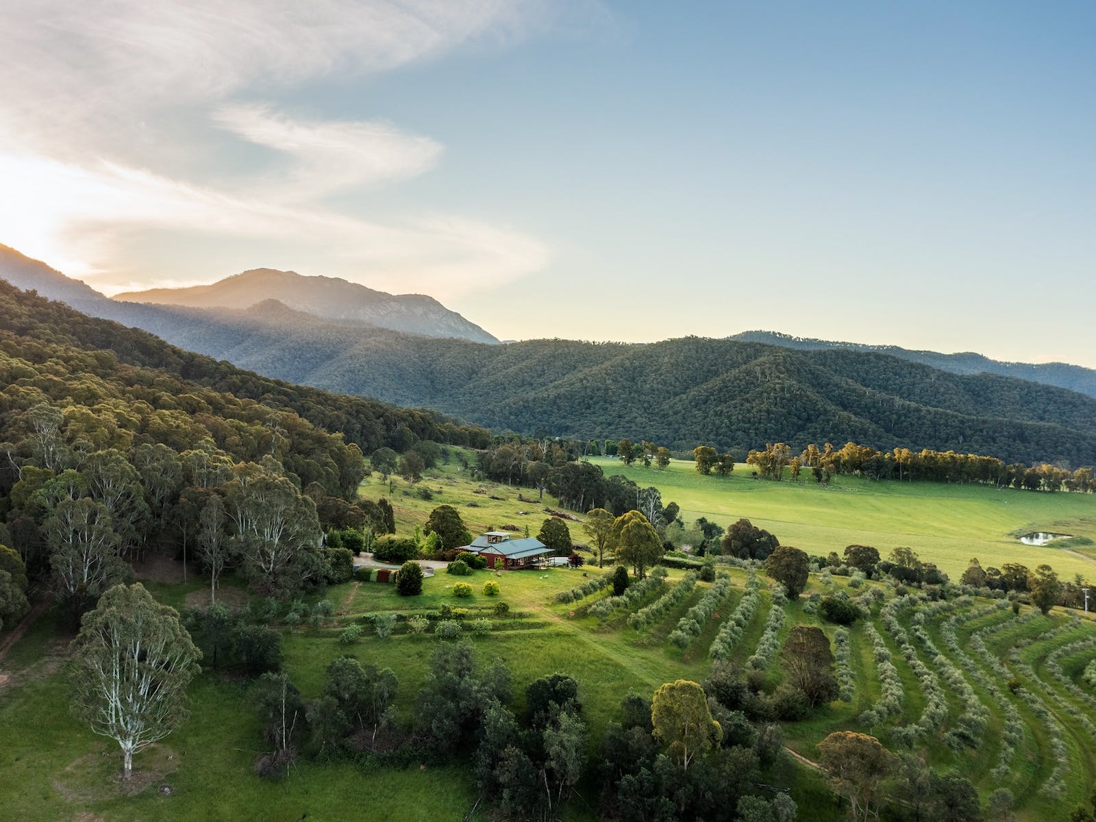 The Grove Estate - Victoria's High Country
