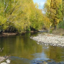 Tawonga Tourist Park - Victoria's High Country