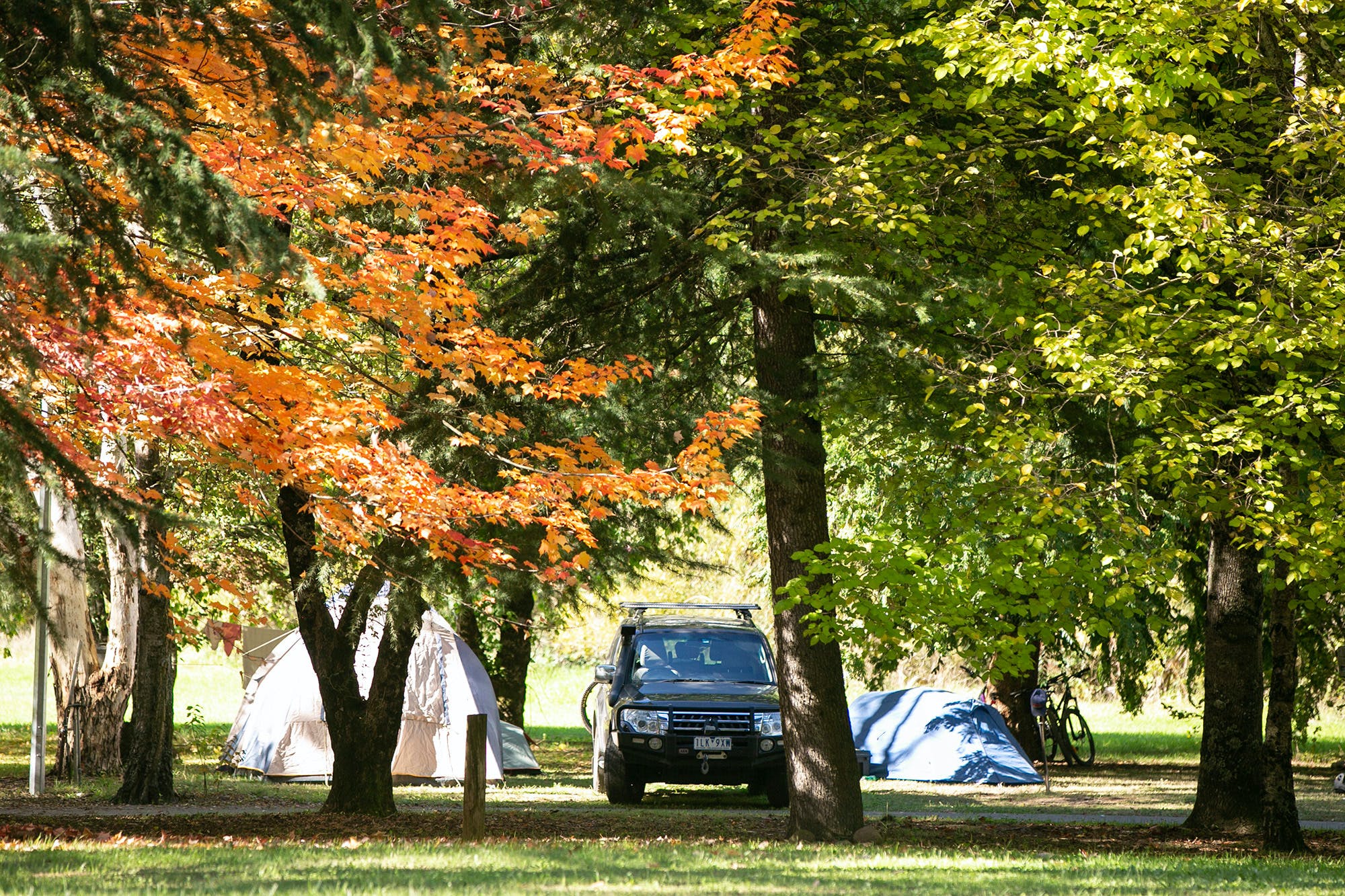 Tawonga Tourist Park - Victoria's High Country