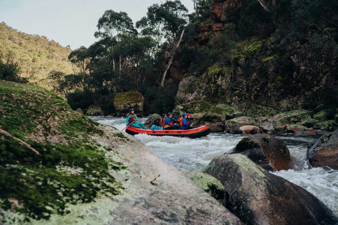Mitta Mitta - Towns Culture Lifestyle