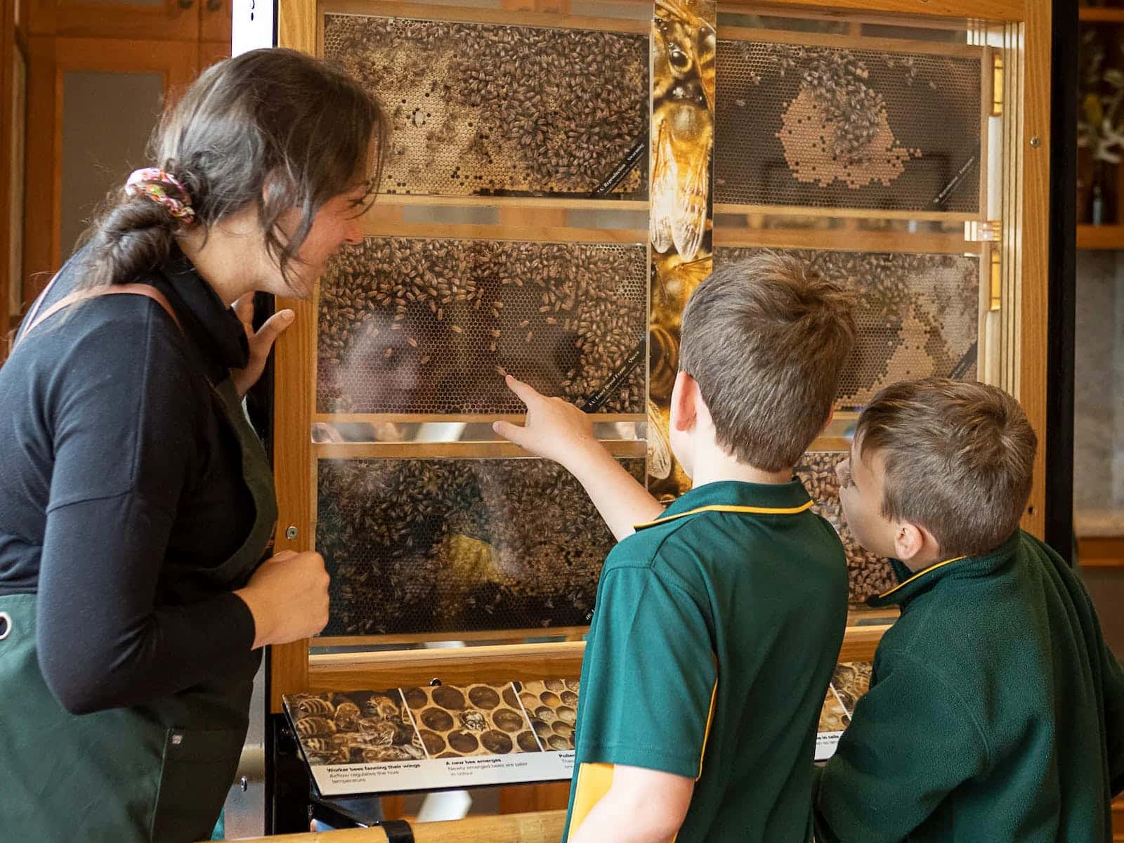 Bee School by Beechworth Honey - Victoria's High Country