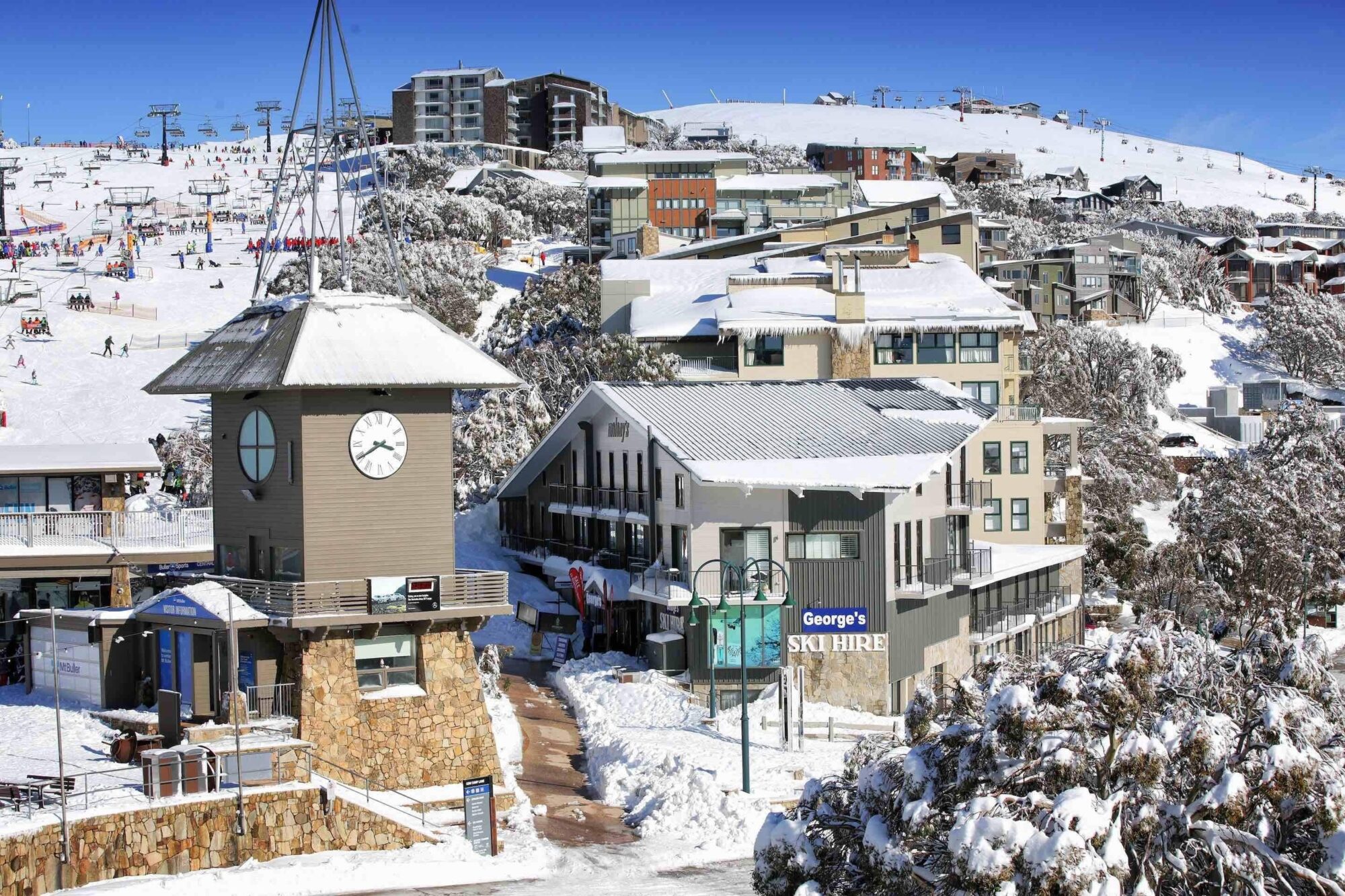 Mt Buller - Towns Culture Lifestyle