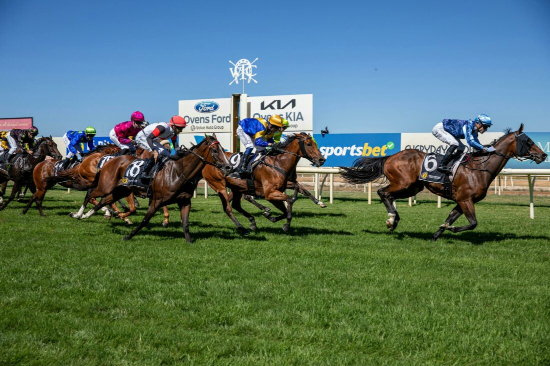 Regional Events - Towns Culture Lifestyle