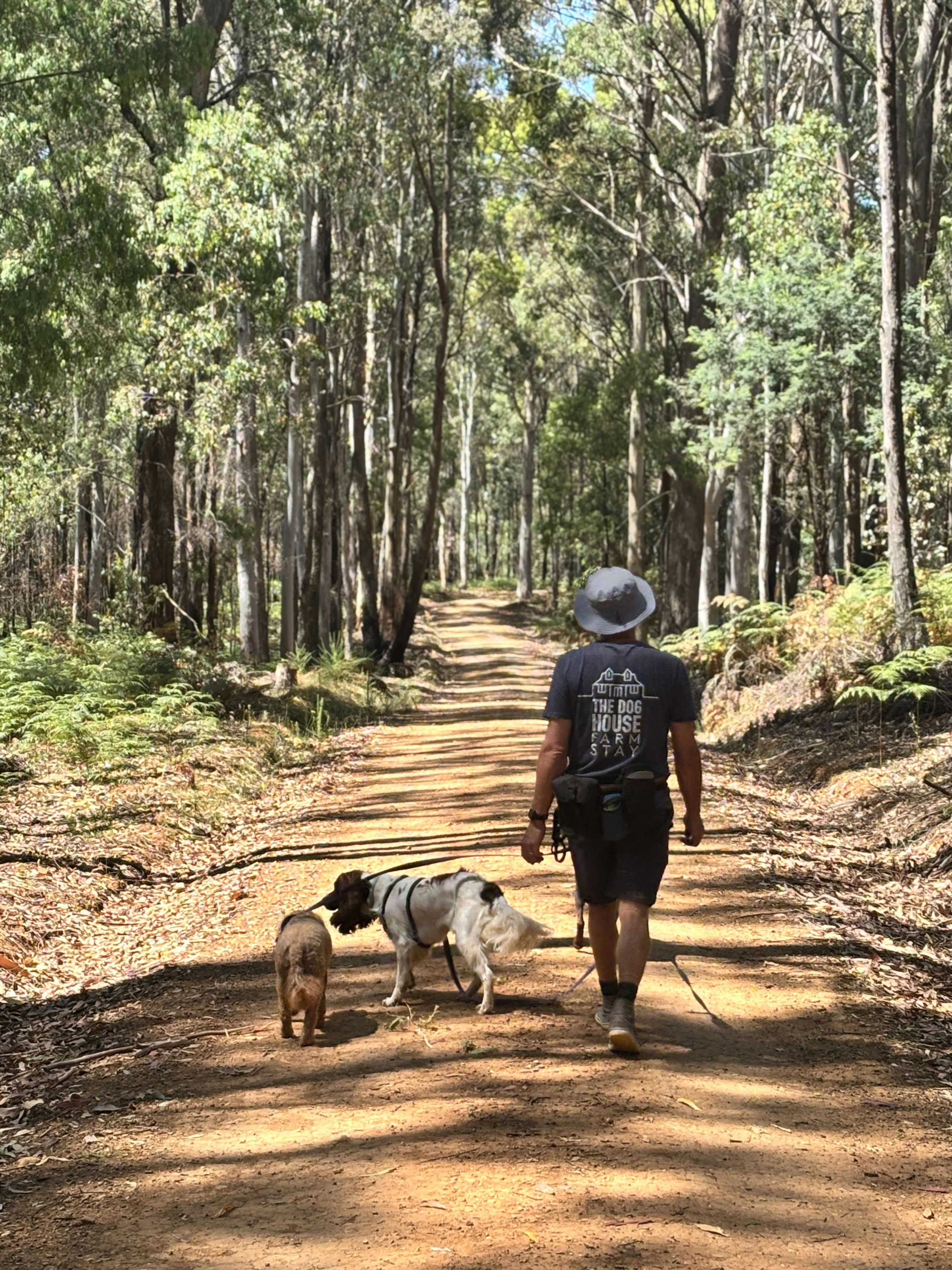 The Dog House Farm Stay - Victoria's High Country