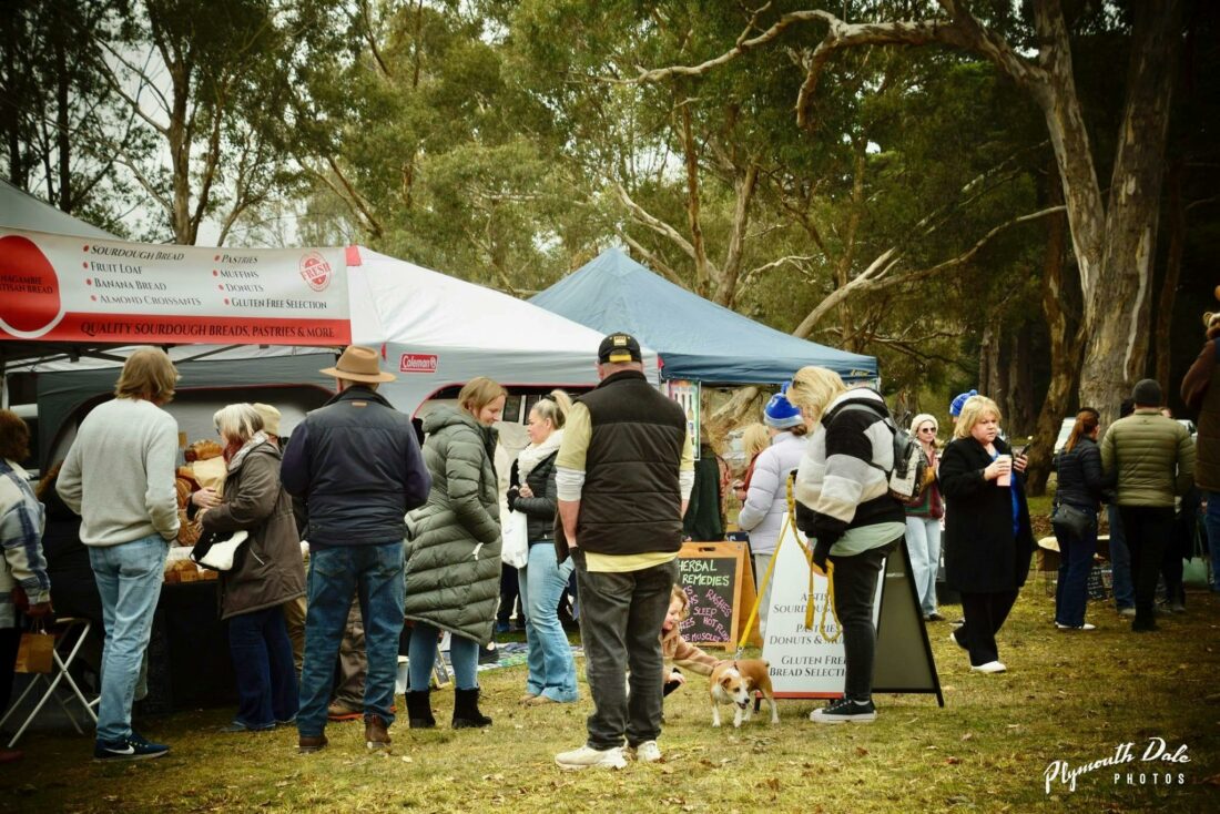 Yea - Towns Culture Lifestyle