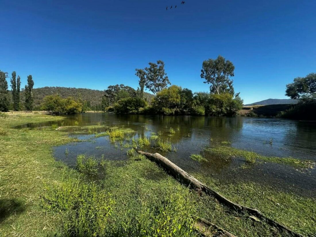Mitta Mitta - Towns Culture Lifestyle