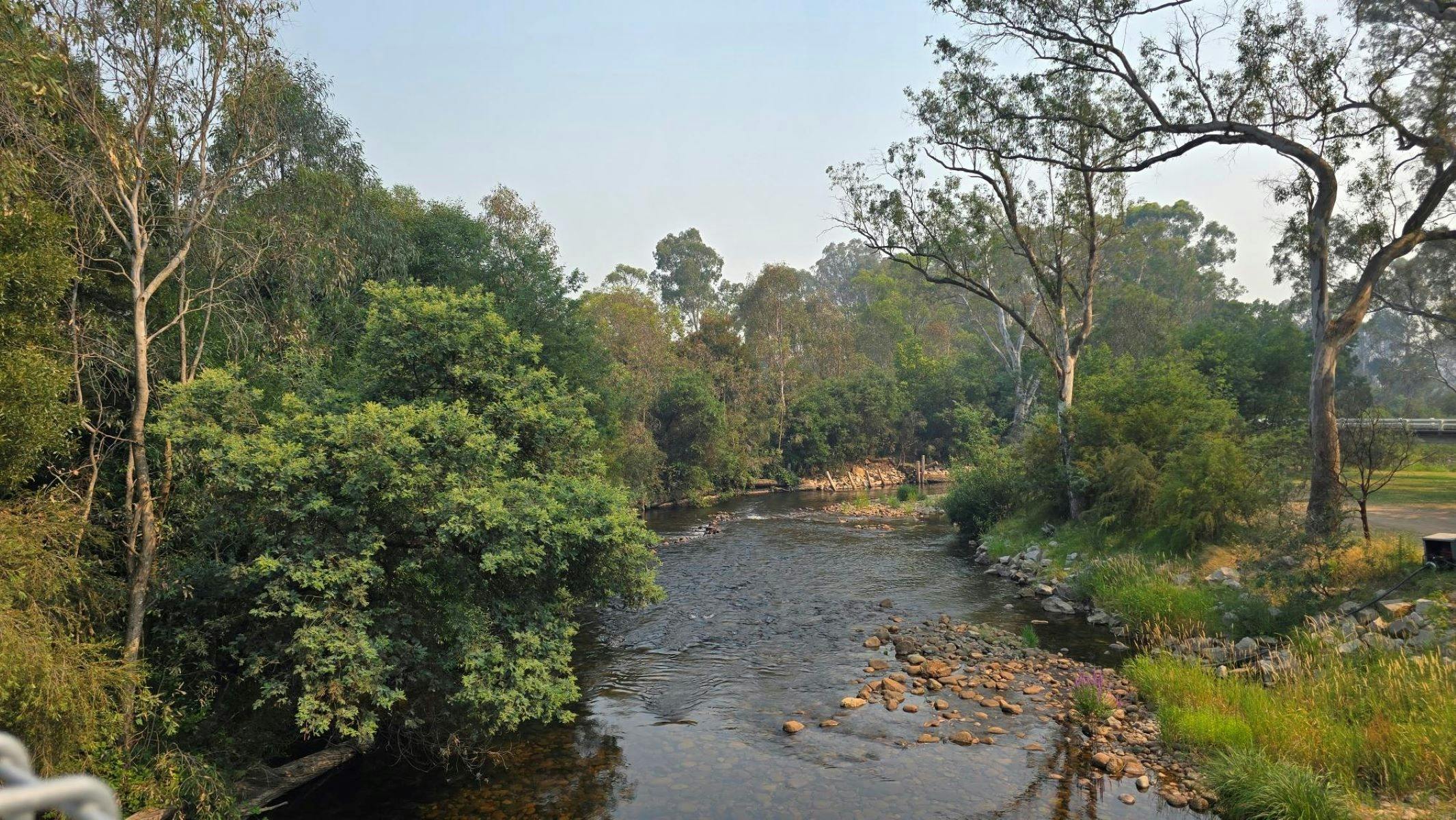 Cheshunt Reserve - Victoria's High Country