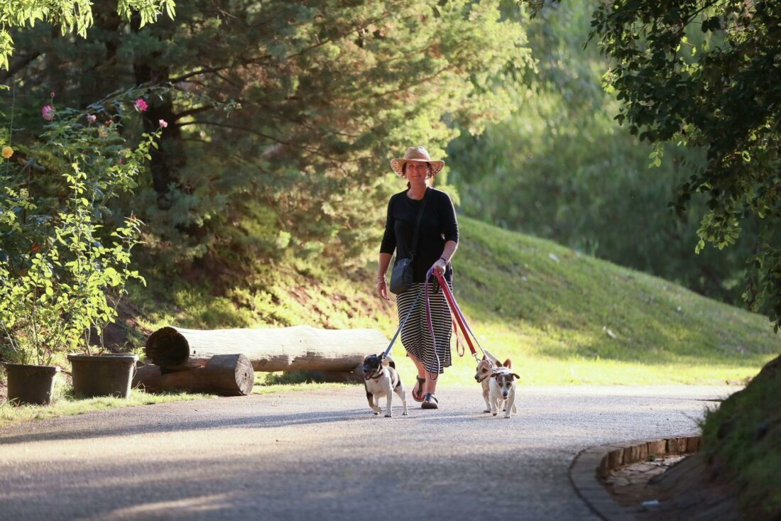 Regional Events - Towns Culture Lifestyle