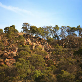Gold Panning & Fossicking - Victoria's High Country
