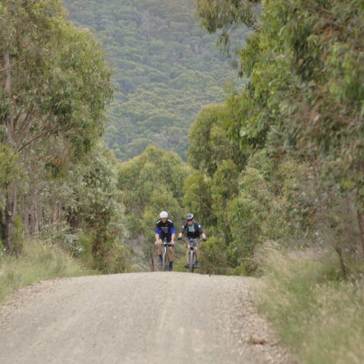 KINGLAKE | VICTORIA'S HIGH COUNTRY
