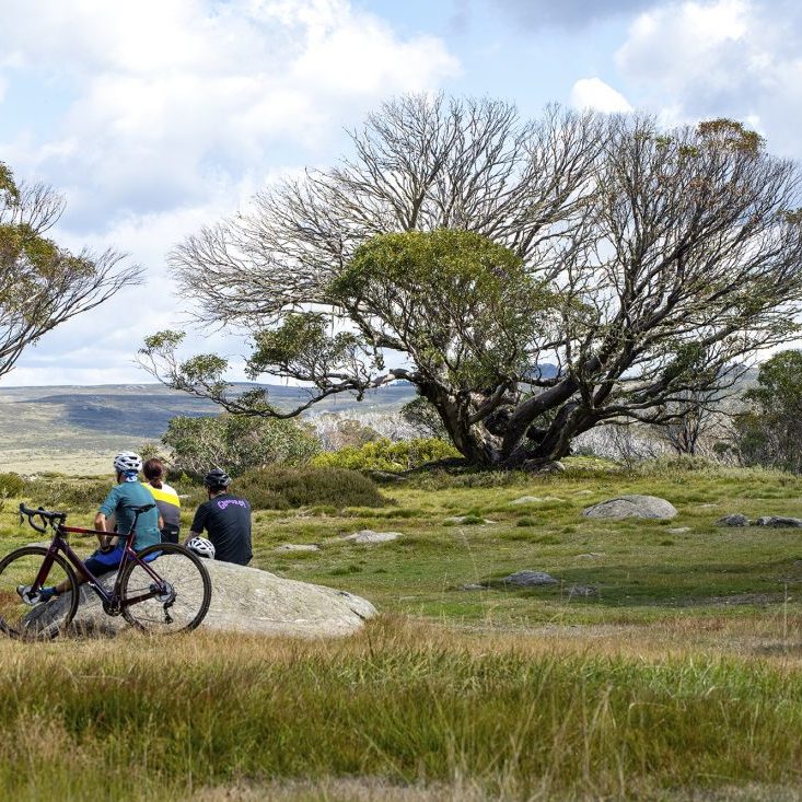 Falls Creek | Snow | Victoria's High Country